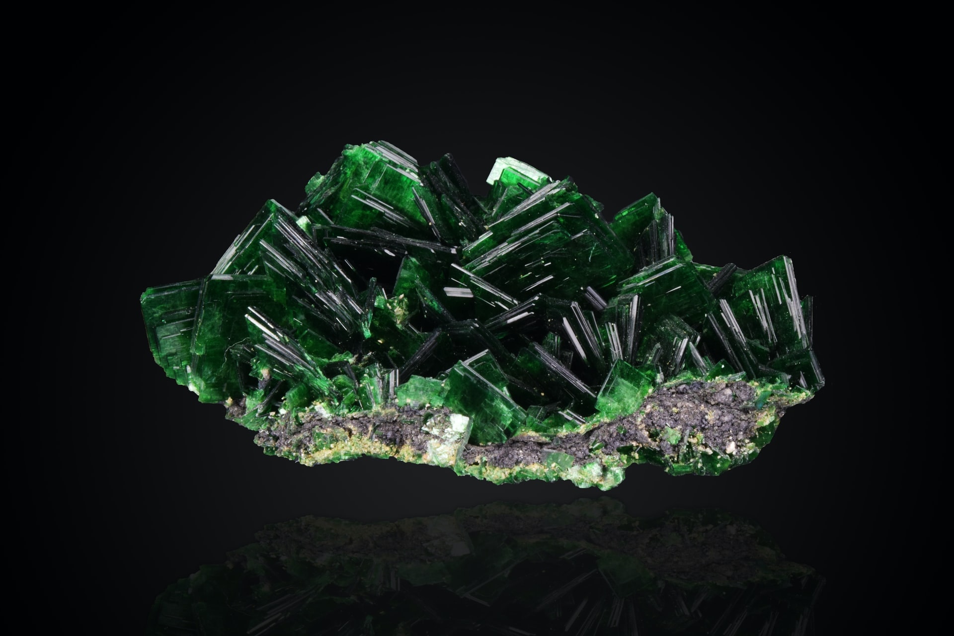 All About Emeralds | Bling Advisor Blog